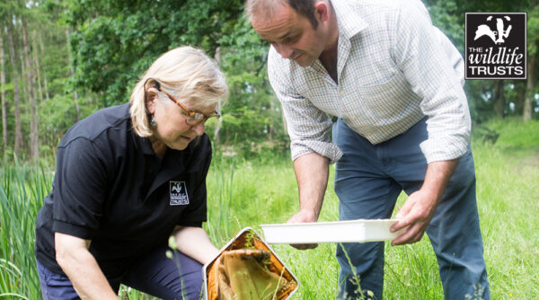 The Jordans Farm Partnership - Jordans Cereal