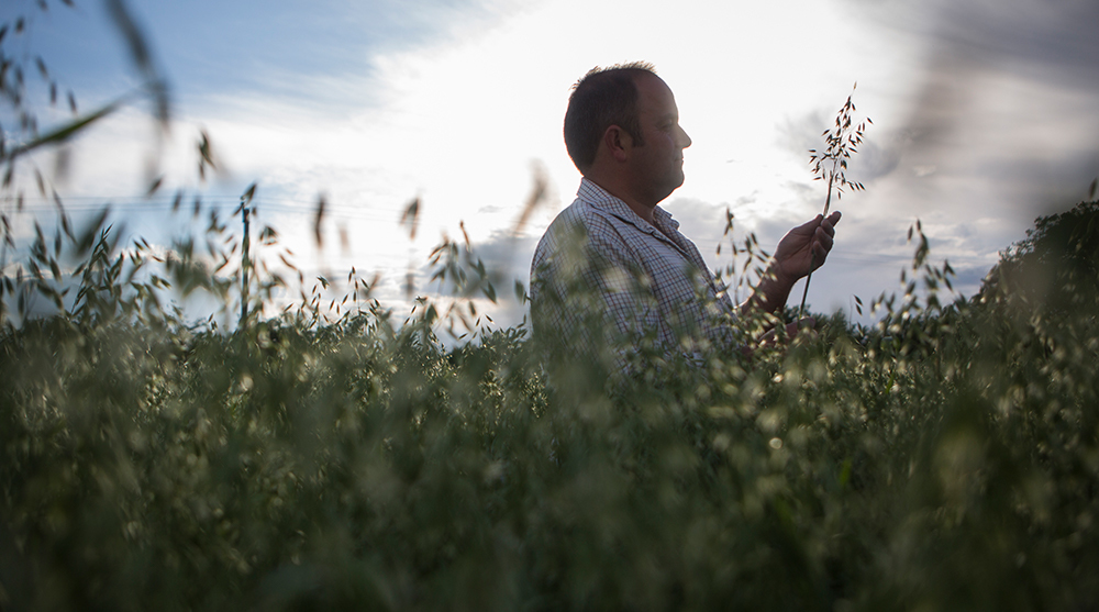 The Jordans Farm Partnership - Jordans Cereal